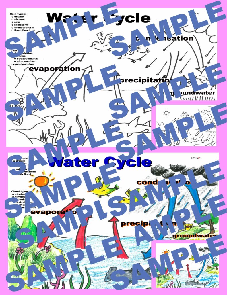 Close Reading: It' Raining! by Gail Gibbons | Made By Teachers