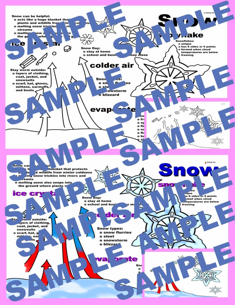 Close Reading: It's Snowing! by Gail Gibbons | Made By Teachers