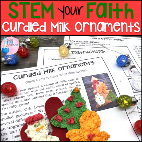 Object Lesson on Christmas | Milk Plastic Ornament | Made By Teachers
