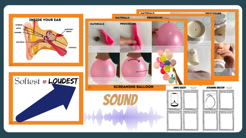 Small Science 10 Unit Hands On & DIGITAL TASK CARD bundle | Made By ...
