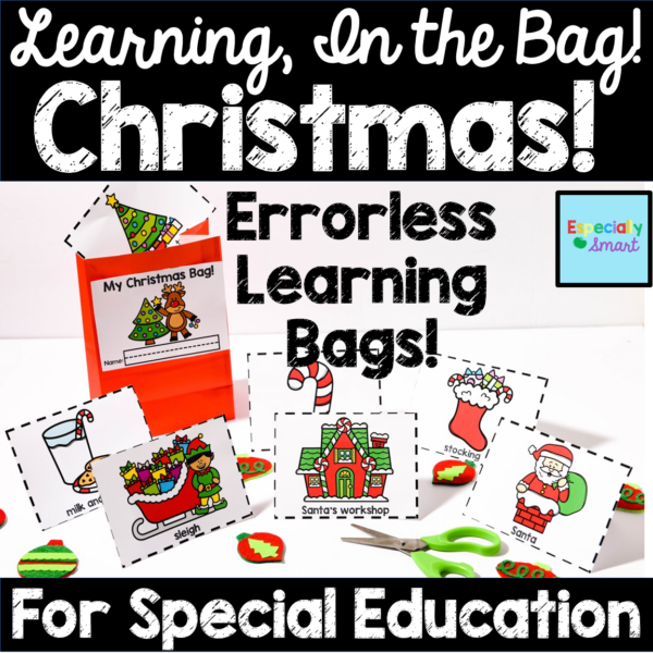 Christmas Learning Bag Easy Craft Activity | Made By Teachers