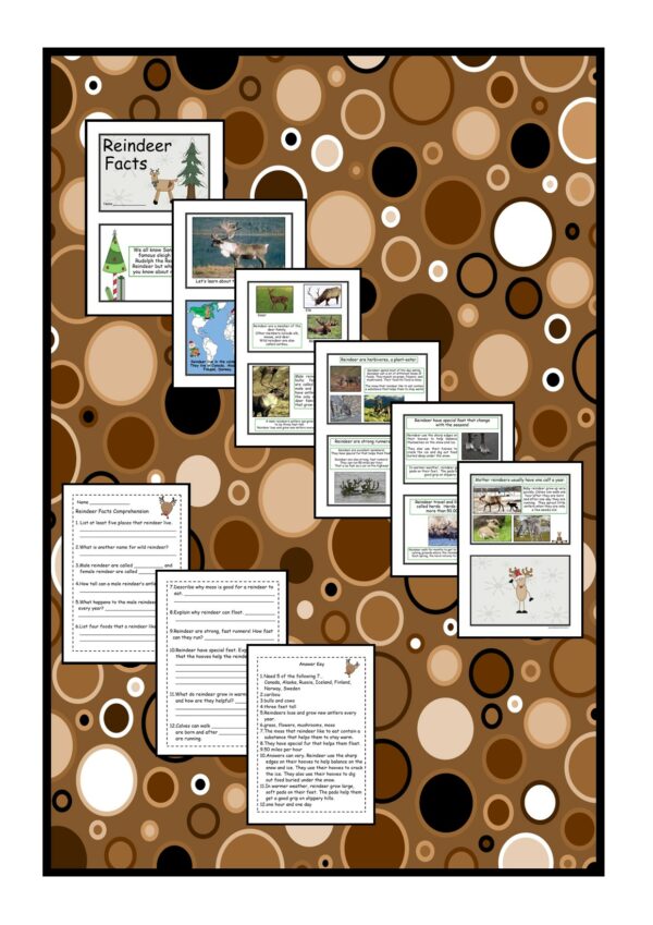 Reindeer Facts Mini Book Reading Comprehension | Made By Teachers