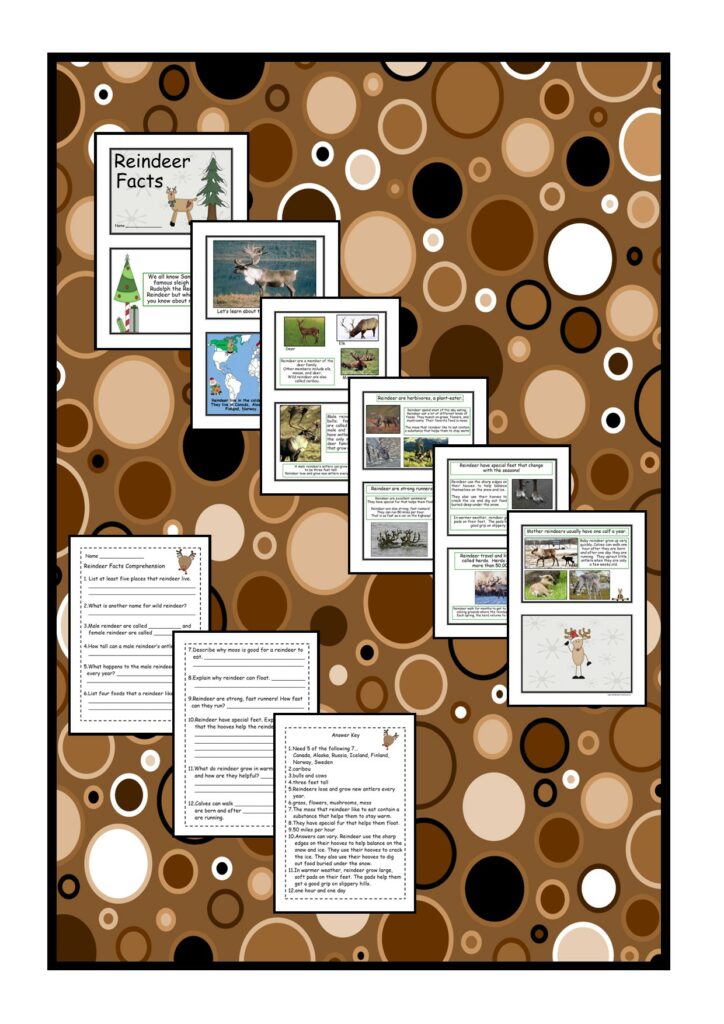 Reindeer Facts Mini Book Reading Comprehension | Made By Teachers