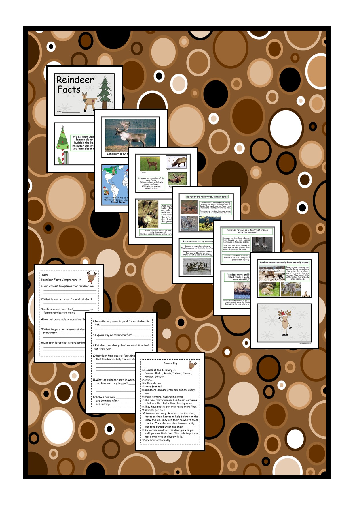 Reindeer Facts Mini Book Reading Comprehension | Made By Teachers