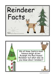 Reindeer Facts Mini Book Reading Comprehension | Made By Teachers