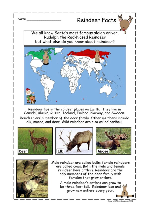 Reindeer Facts Reading Comprehension Passage | Made By Teachers