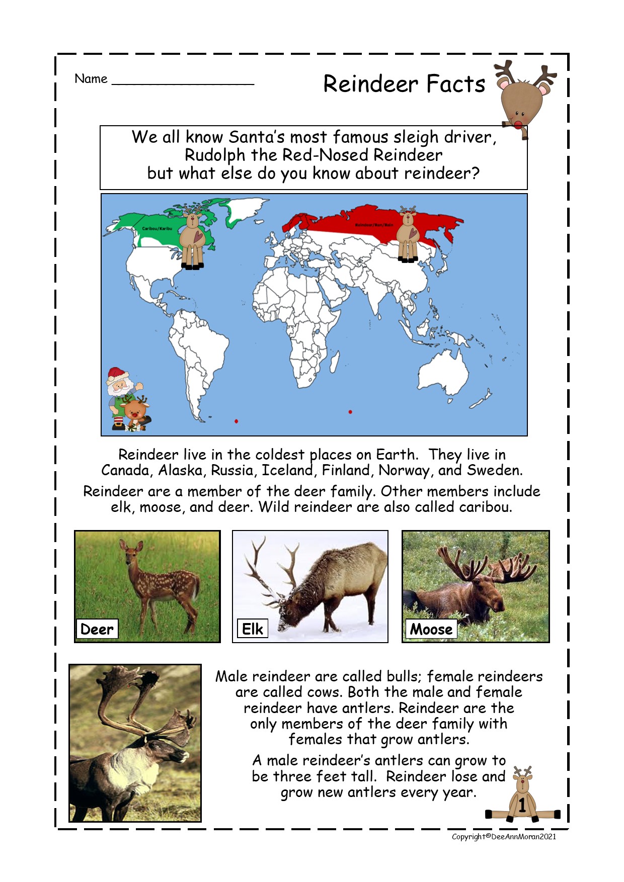 Reindeer Facts Reading Comprehension Passage | Made By Teachers