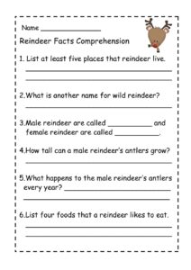 Reindeer Facts Reading Comprehension Passage | Made By Teachers