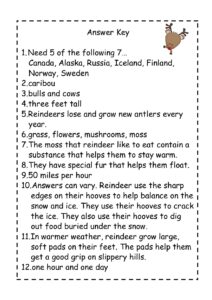 Reindeer Facts Reading Comprehension Passage | Made By Teachers