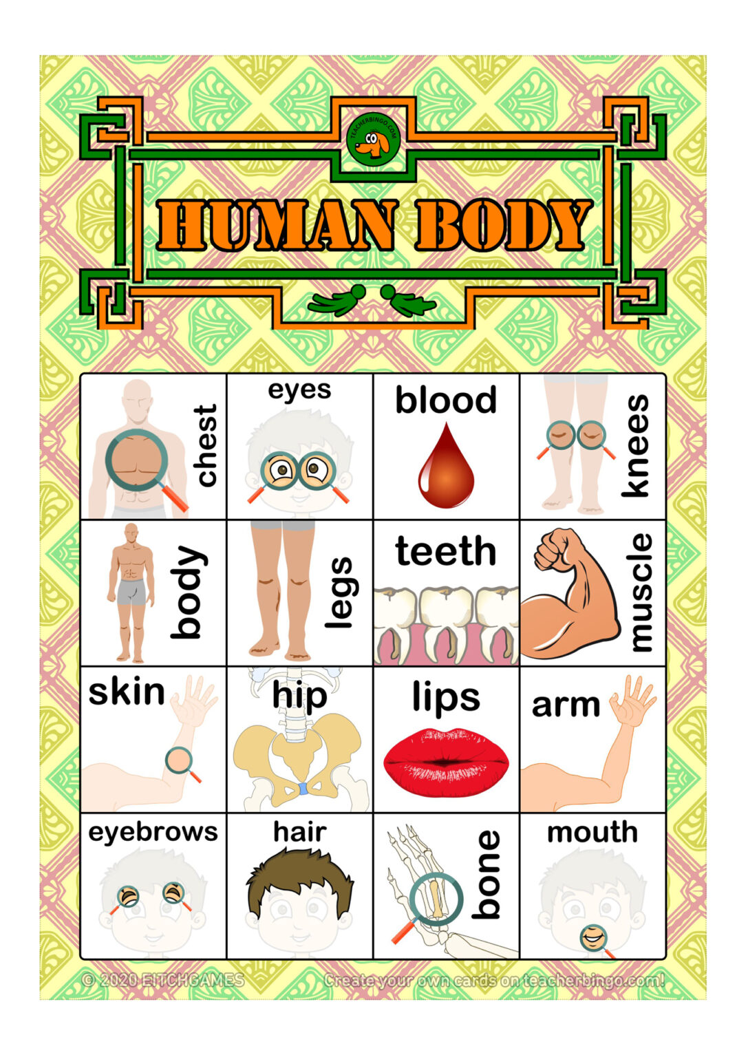 Human Body Parts Bingo 4x4 (5 pages + call sheet) | Made By Teachers
