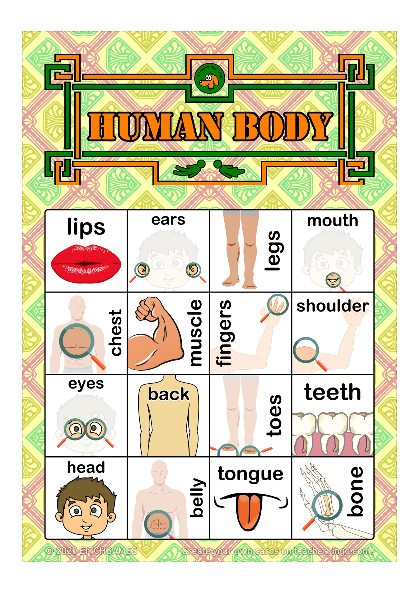 Human Body Parts Bingo 4x4 (5 pages + call sheet) | Made By Teachers