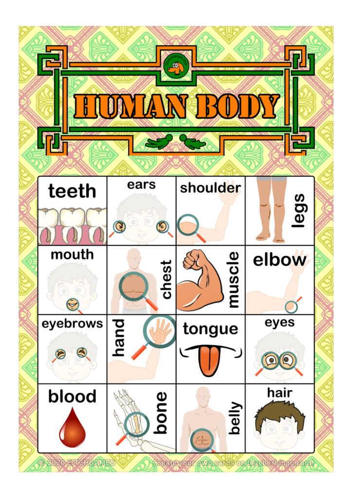 Human Body Parts Bingo 4x4 (5 pages + call sheet) | Made By Teachers