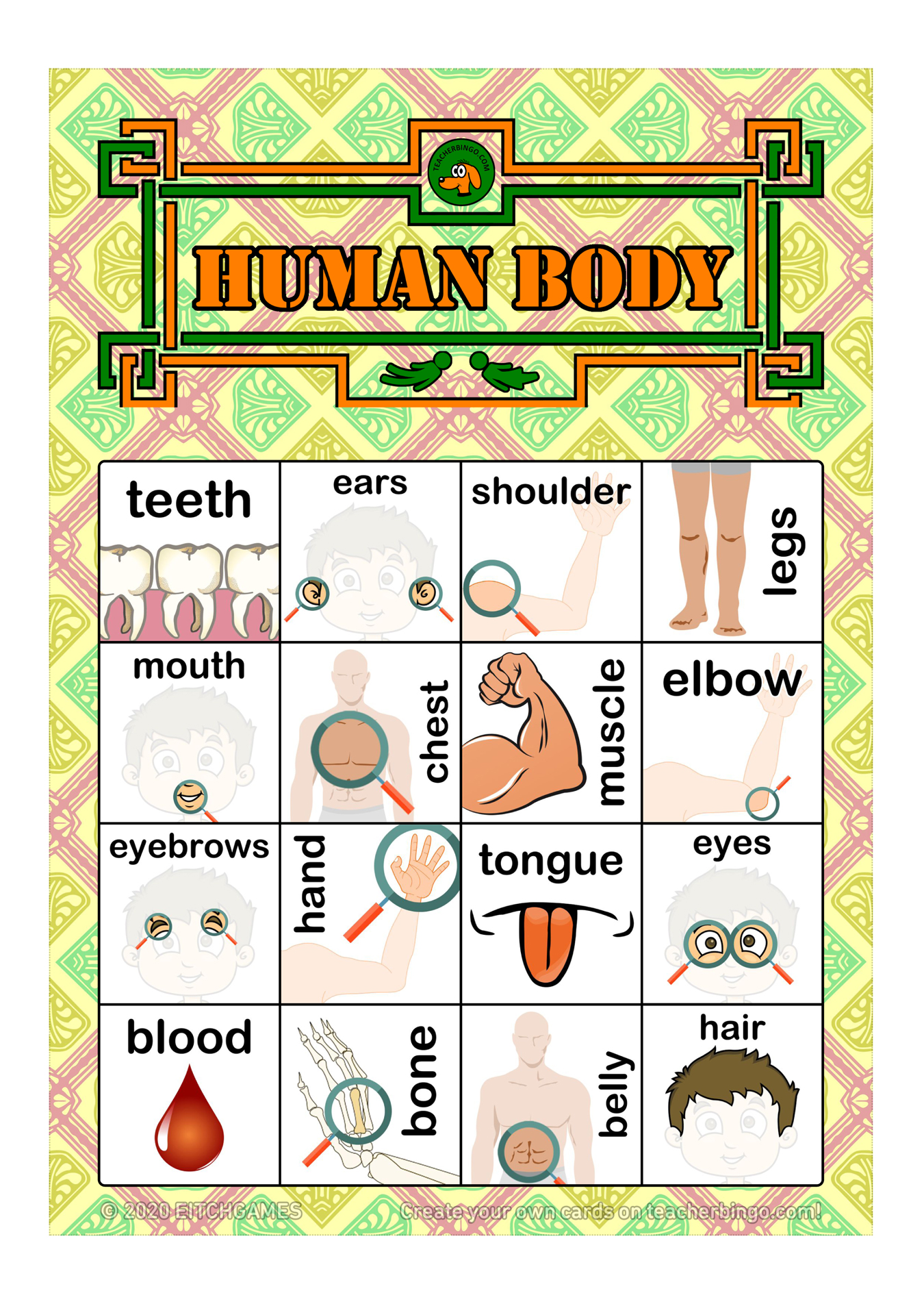 Human Body Parts Bingo 4x4 (5 pages + call sheet) | Made By Teachers