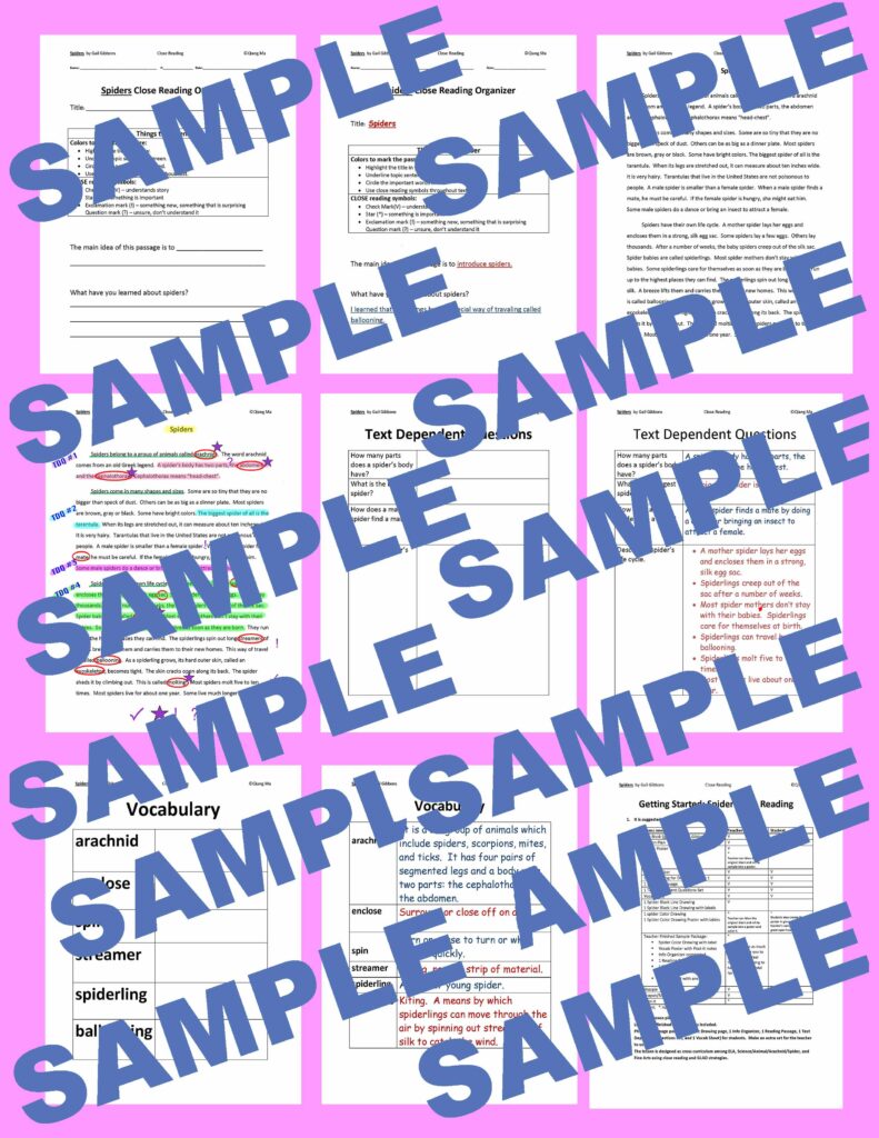 Close Reading: Spiders by Gail Gibbons | Made By Teachers