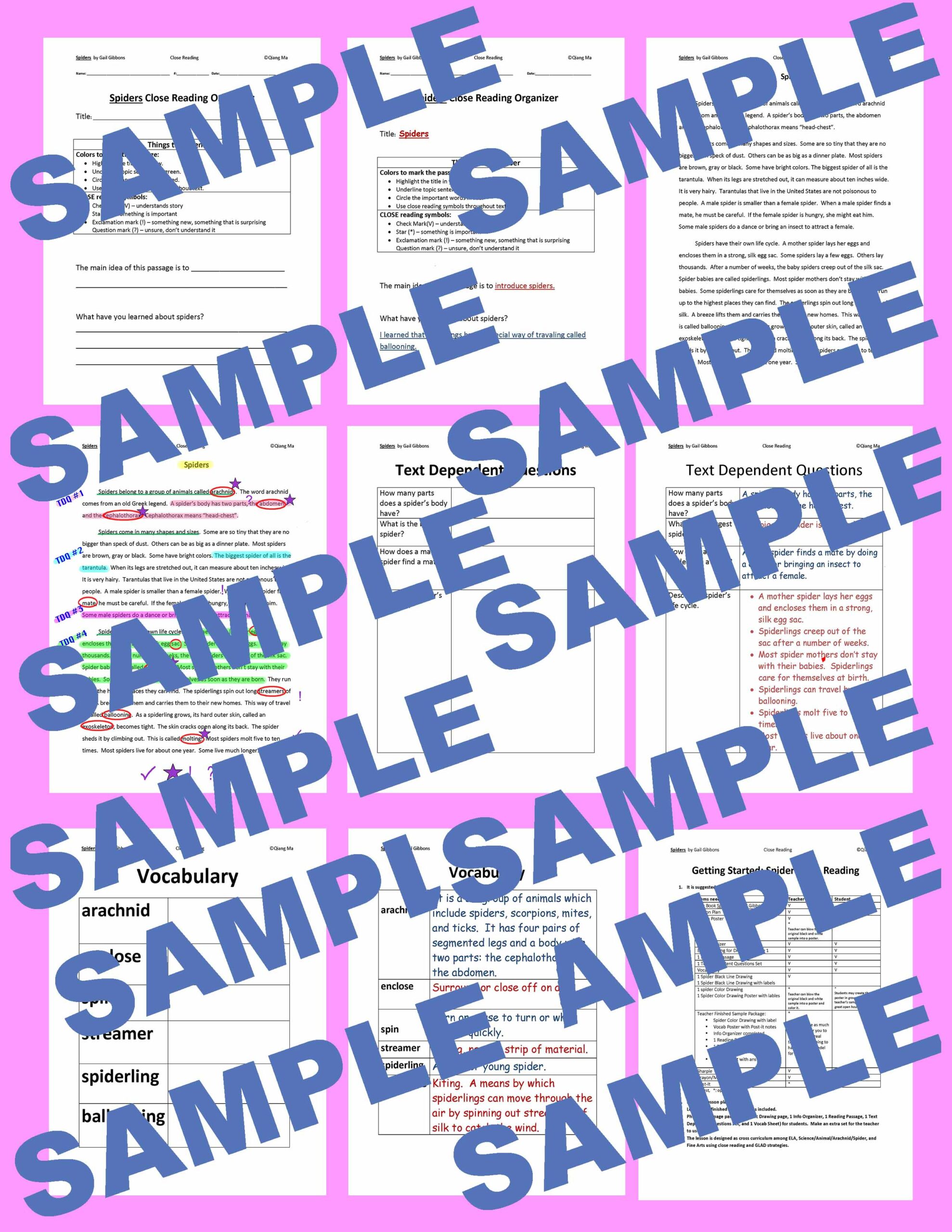 Close Reading: Spiders by Gail Gibbons | Made By Teachers