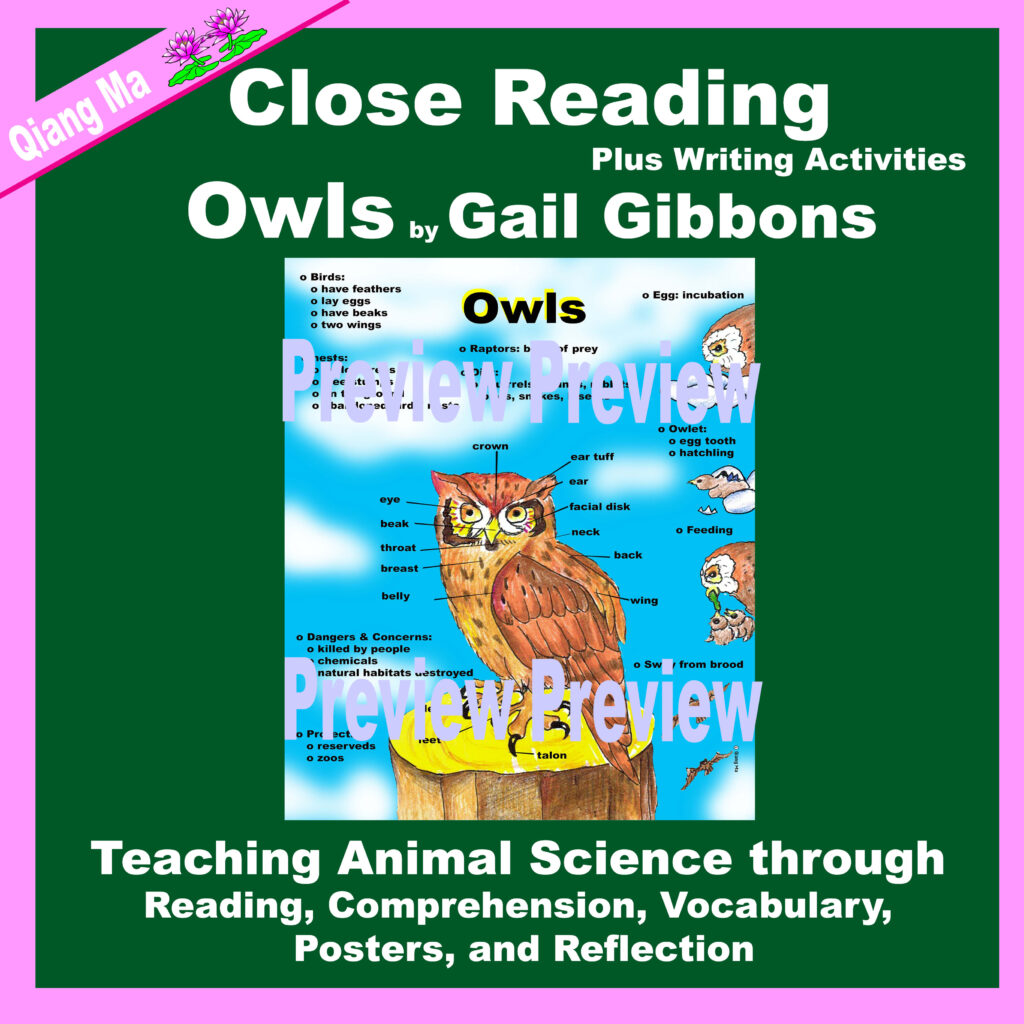 Close Reading: Owls by Gail Gibbons | Made By Teachers