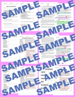 Close Reading: Owls by Gail Gibbons | Made By Teachers