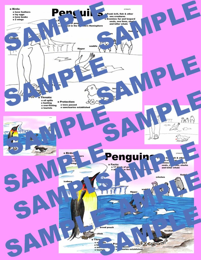 Close Reading: Penguins! by Gail Gibbons | Made By Teachers