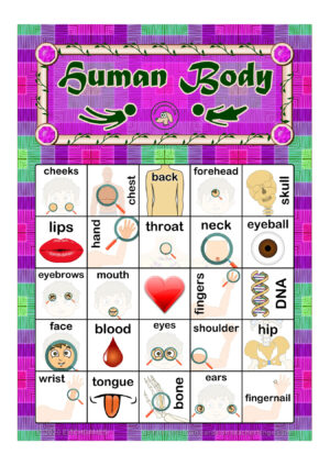 Human Body Parts Bingo 5x5 (5 pages + call sheet) | Made By Teachers