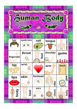 Human Body Parts Bingo 5x5 (5 pages + call sheet) | Made By Teachers
