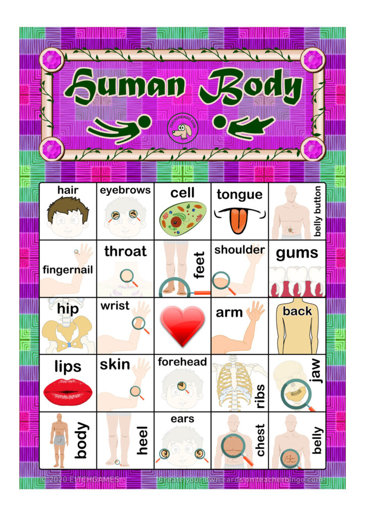 Human Body Parts Bingo 5x5 (5 pages + call sheet) | Made By Teachers