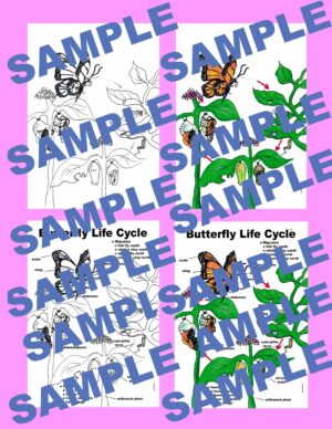 Close Reading: Monarch Butterfly by Gail Gibbons | Made By Teachers