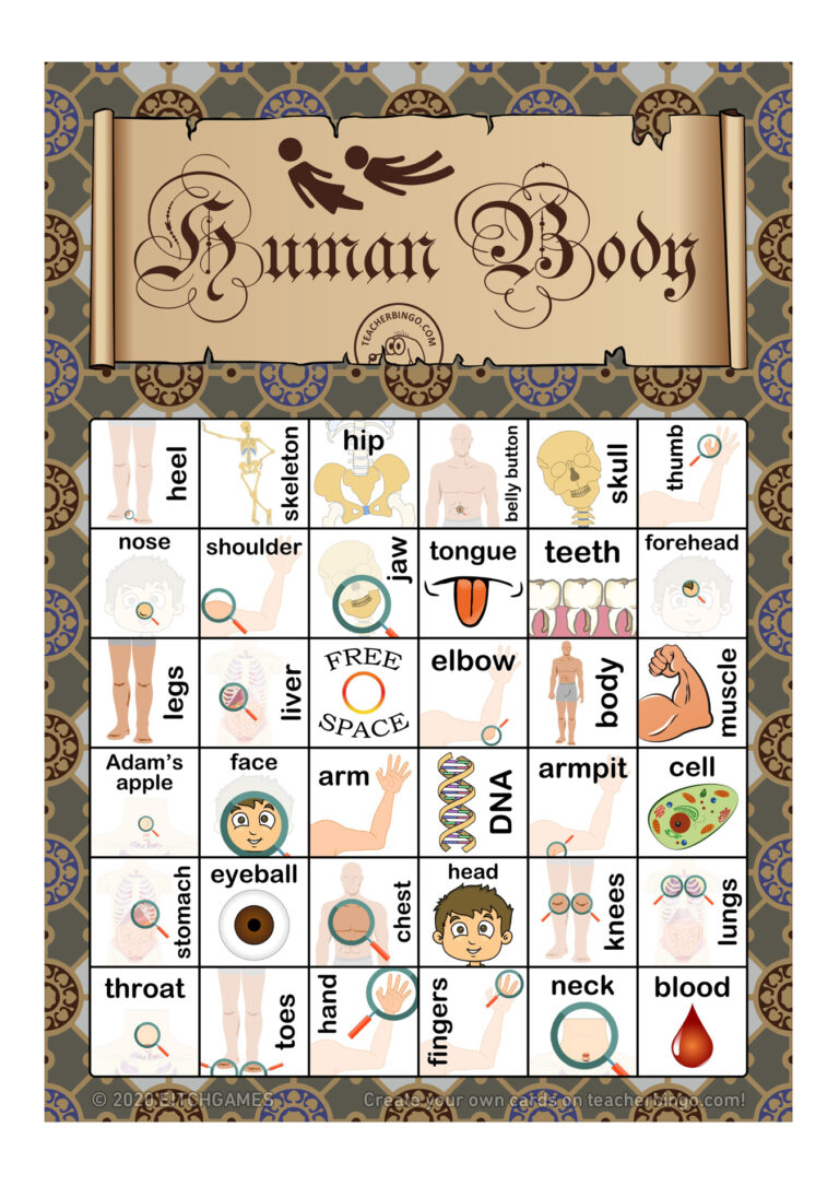 Human Body Parts Bingo 5x5 (5 pages + call sheet) | Made By Teachers
