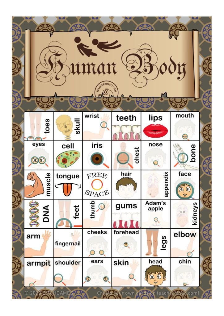 Human Body Parts Bingo 6x6 (5 pages + call sheet) | Made By Teachers