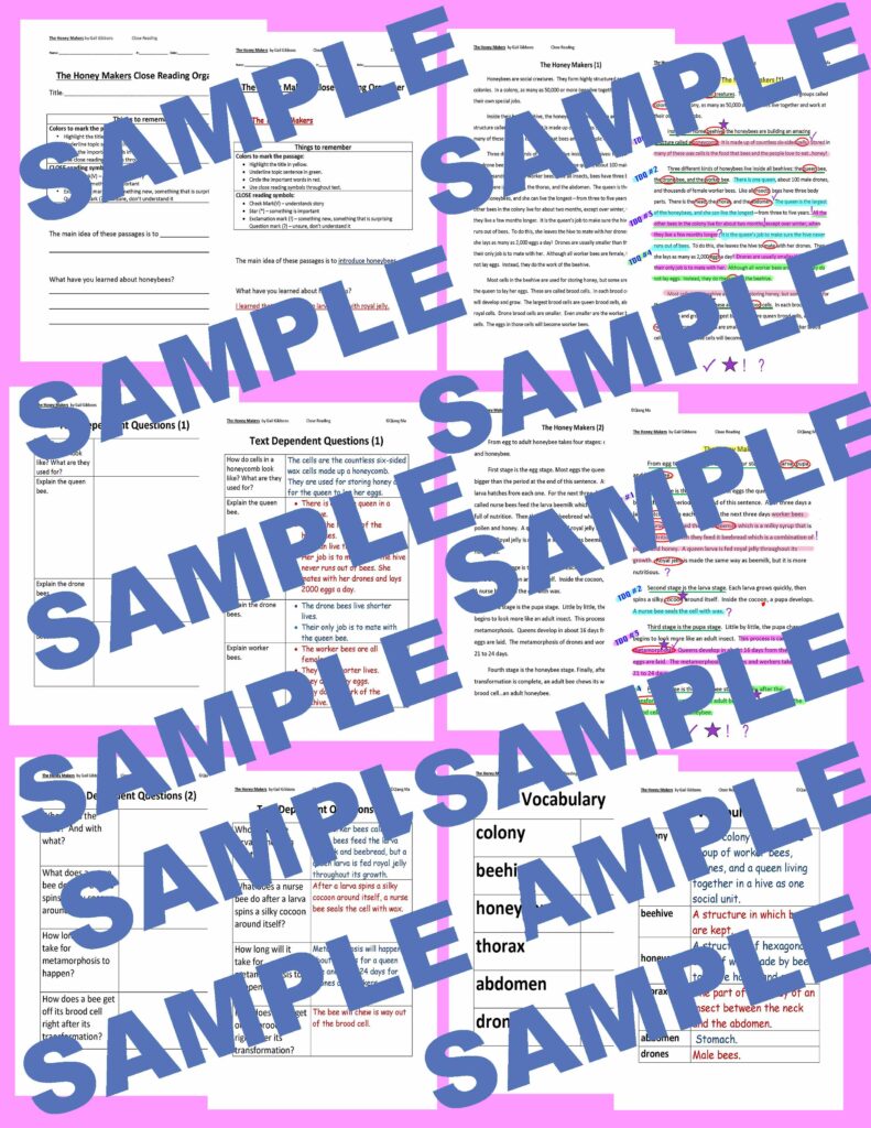 Close Reading: The Honey Makers by Gail Gibbons | Made By Teachers