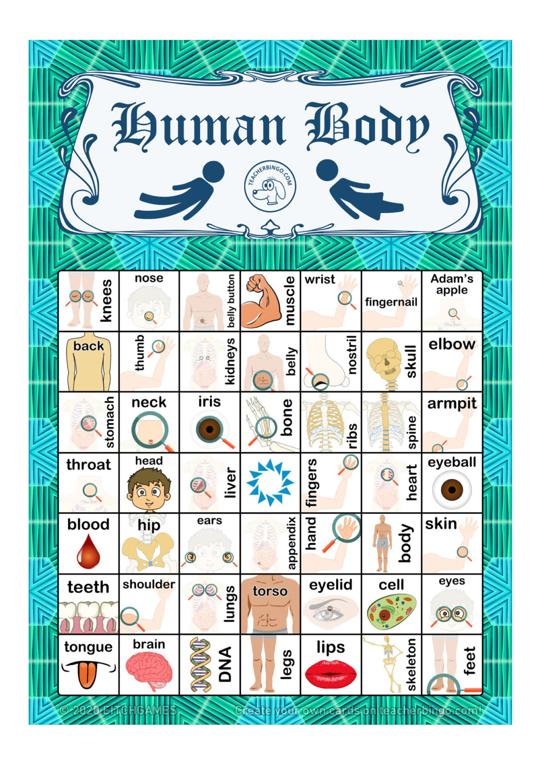 Human Body Parts Bingo 7x7 (5 pages + call sheet) | Made By Teachers