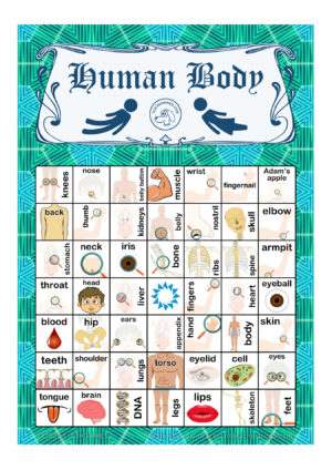 Human Body Parts Bingo 7x7 (5 pages + call sheet) | Made By Teachers