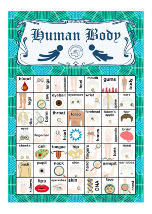 Human Body Parts Bingo 7x7 (5 pages + call sheet) | Made By Teachers