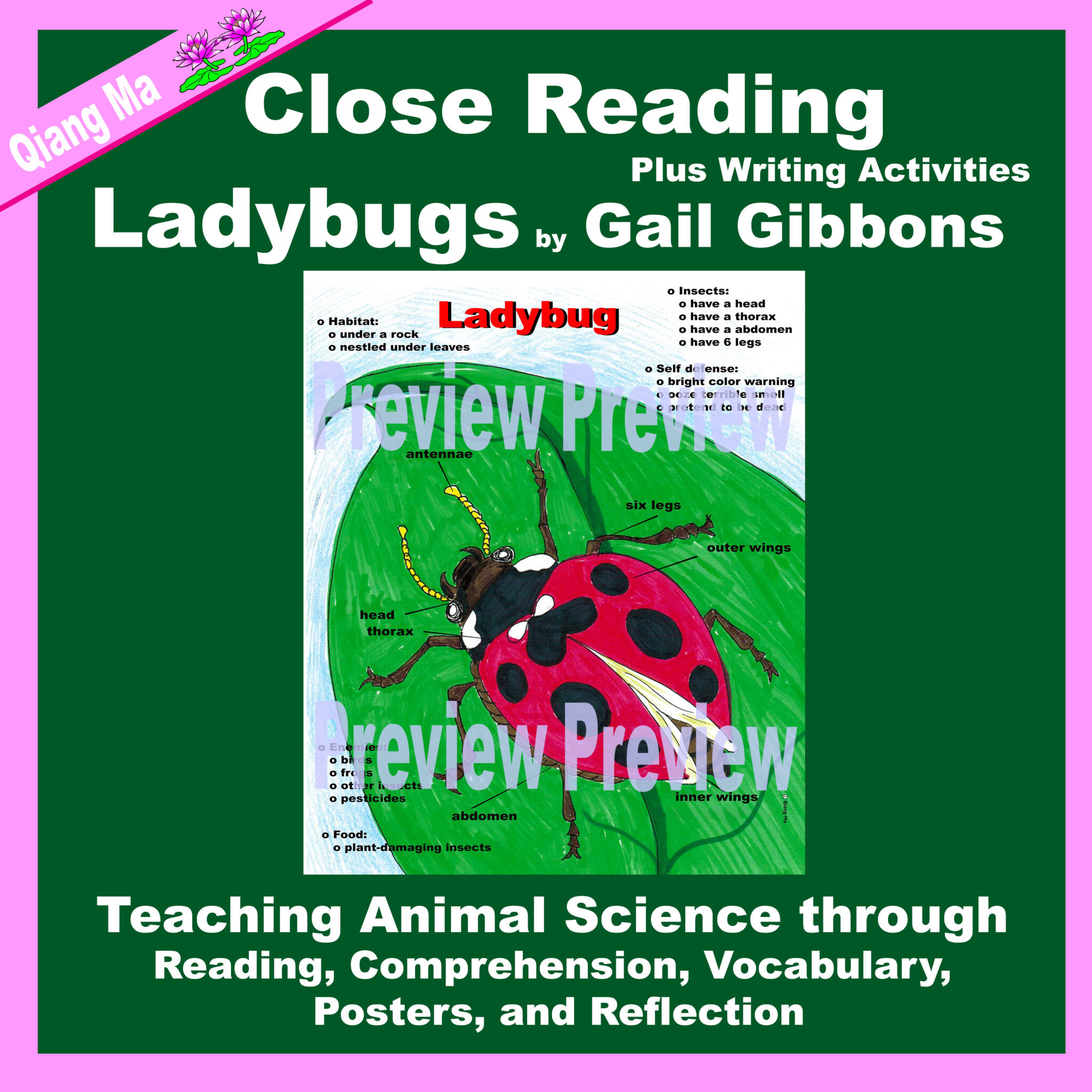Close Reading: Ladybugs by Gail Gibbons | Made By Teachers
