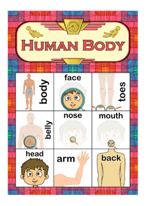 Human Body Parts Bingo 3x3 (100 pages + call sheet) | Made By Teachers