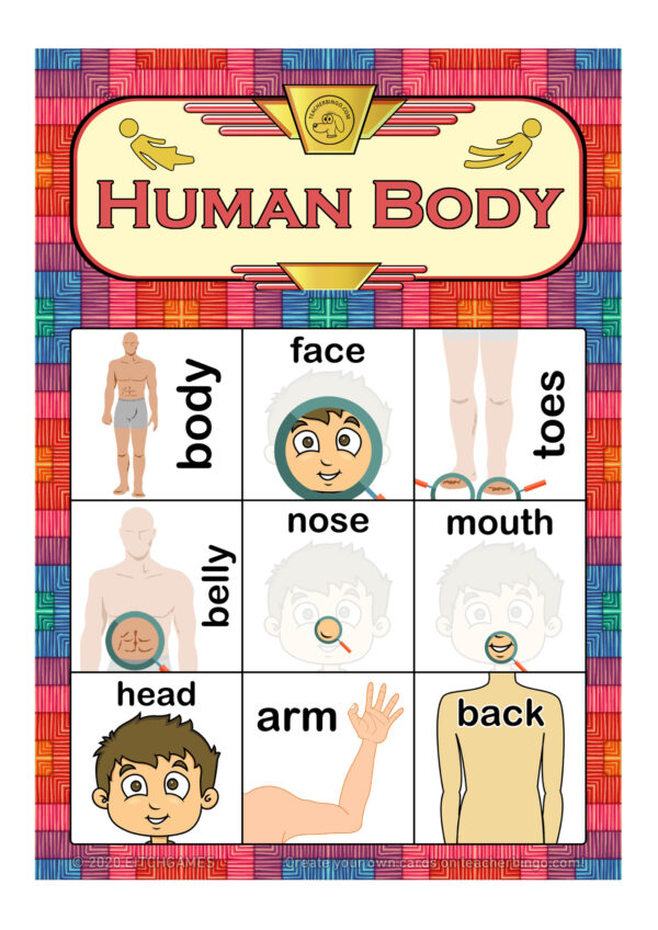 Human Body Parts Bingo 3x3 (100 pages + call sheet) | Made By Teachers