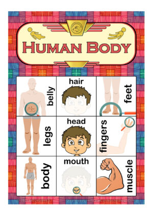 Human Body Parts Bingo 3x3 (100 pages + call sheet) - Made By Teachers