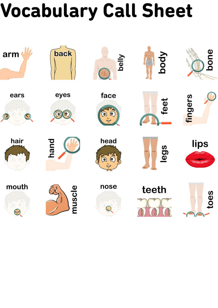 Human Body Parts Bingo 3x3 (100 pages + call sheet) | Made By Teachers