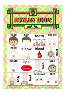 Human Body Parts Bingo 4x4 (100 pages + call sheet) - Made By Teachers