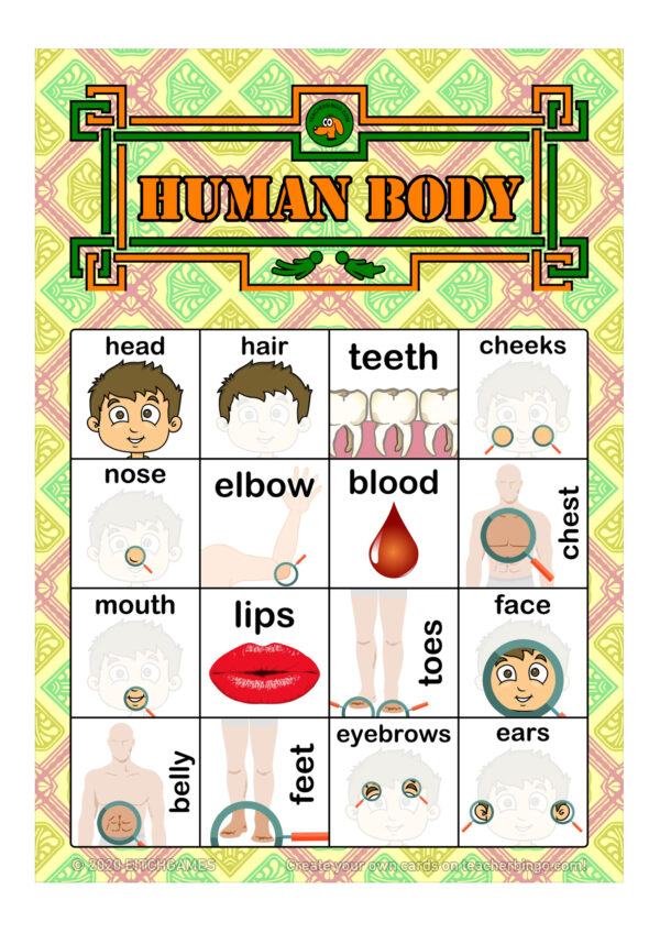 Human Body Parts Bingo 4x4 (100 pages + call sheet) | Made By Teachers