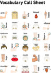 Human Body Parts Bingo 4x4 (100 pages + call sheet) | Made By Teachers