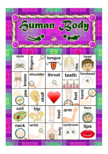 Human Body Parts Bingo 5x5 (100 pages + call sheet) | Made By Teachers