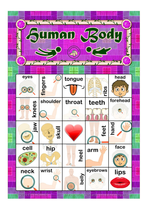 Human Body Parts Bingo 5x5 (100 pages + call sheet) | Made By Teachers