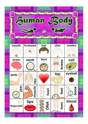 Human Body Parts Bingo 5x5 (100 pages + call sheet) | Made By Teachers