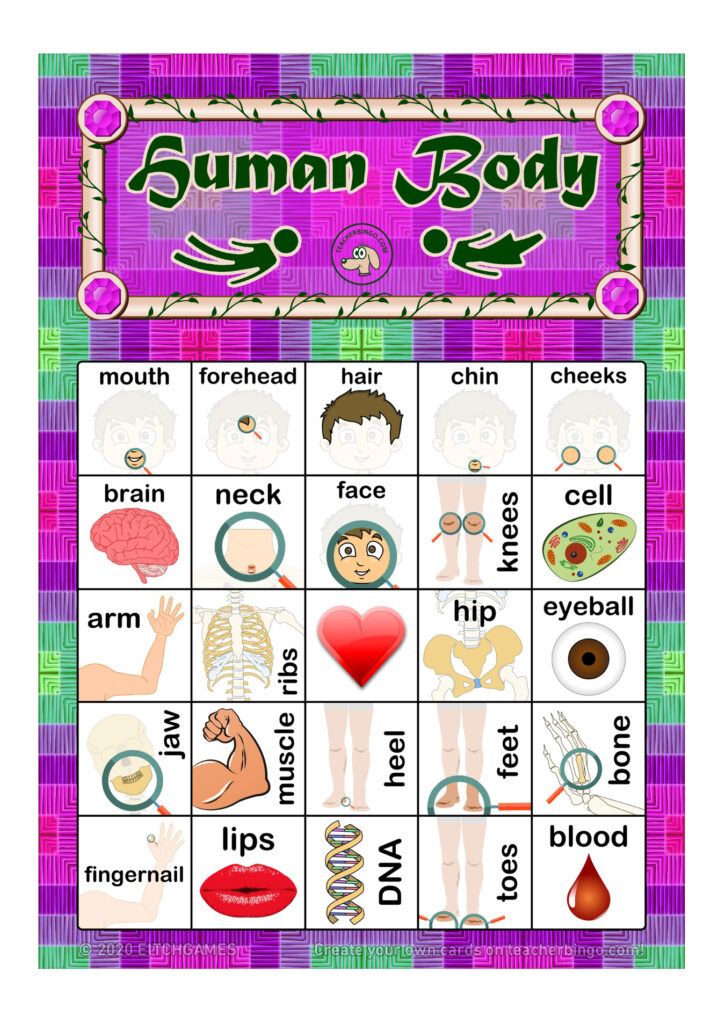 Human Body Parts Bingo 5x5 (100 pages + call sheet) | Made By Teachers