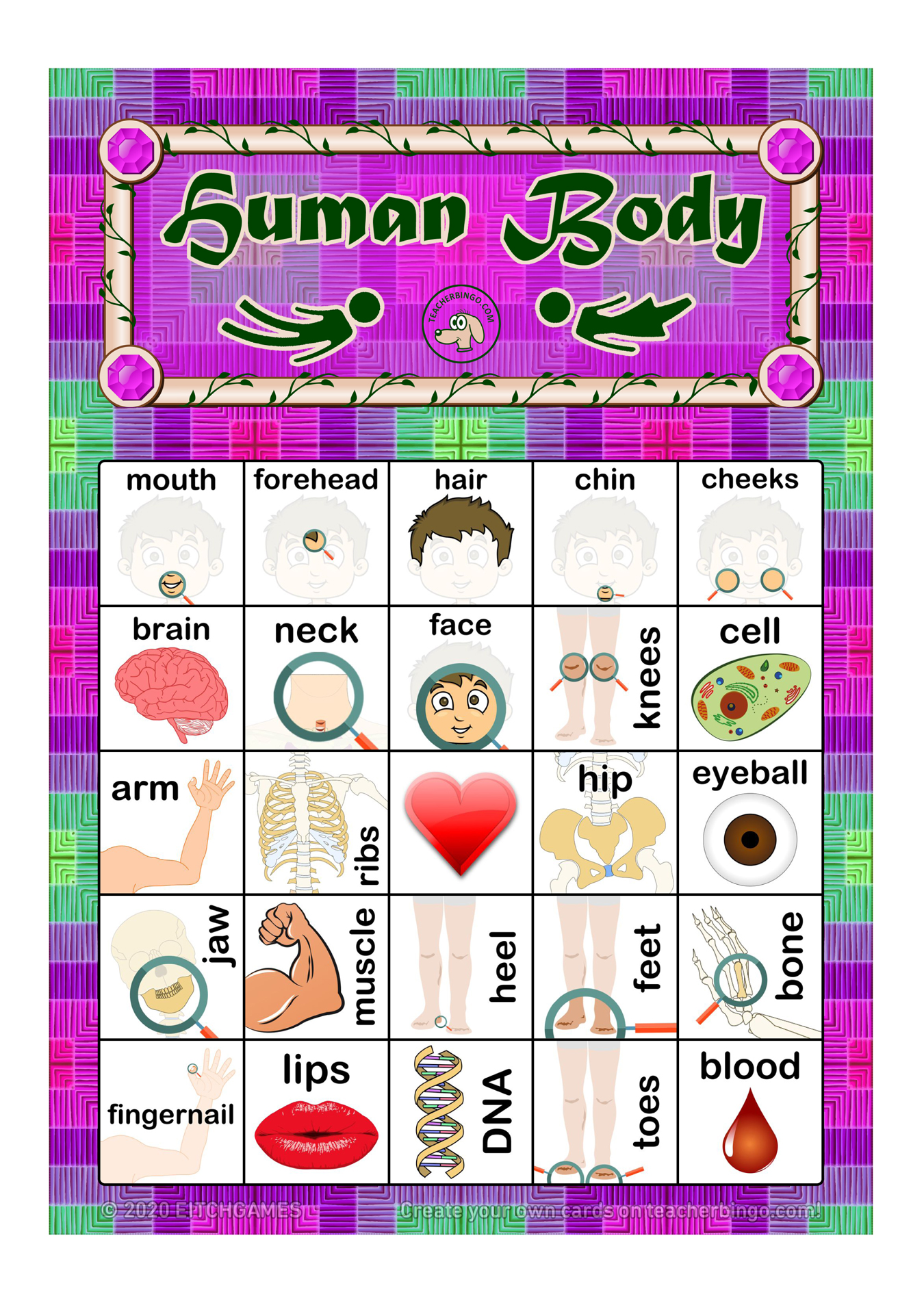 Human Body Parts Bingo 5x5 (100 pages + call sheet) | Made By Teachers