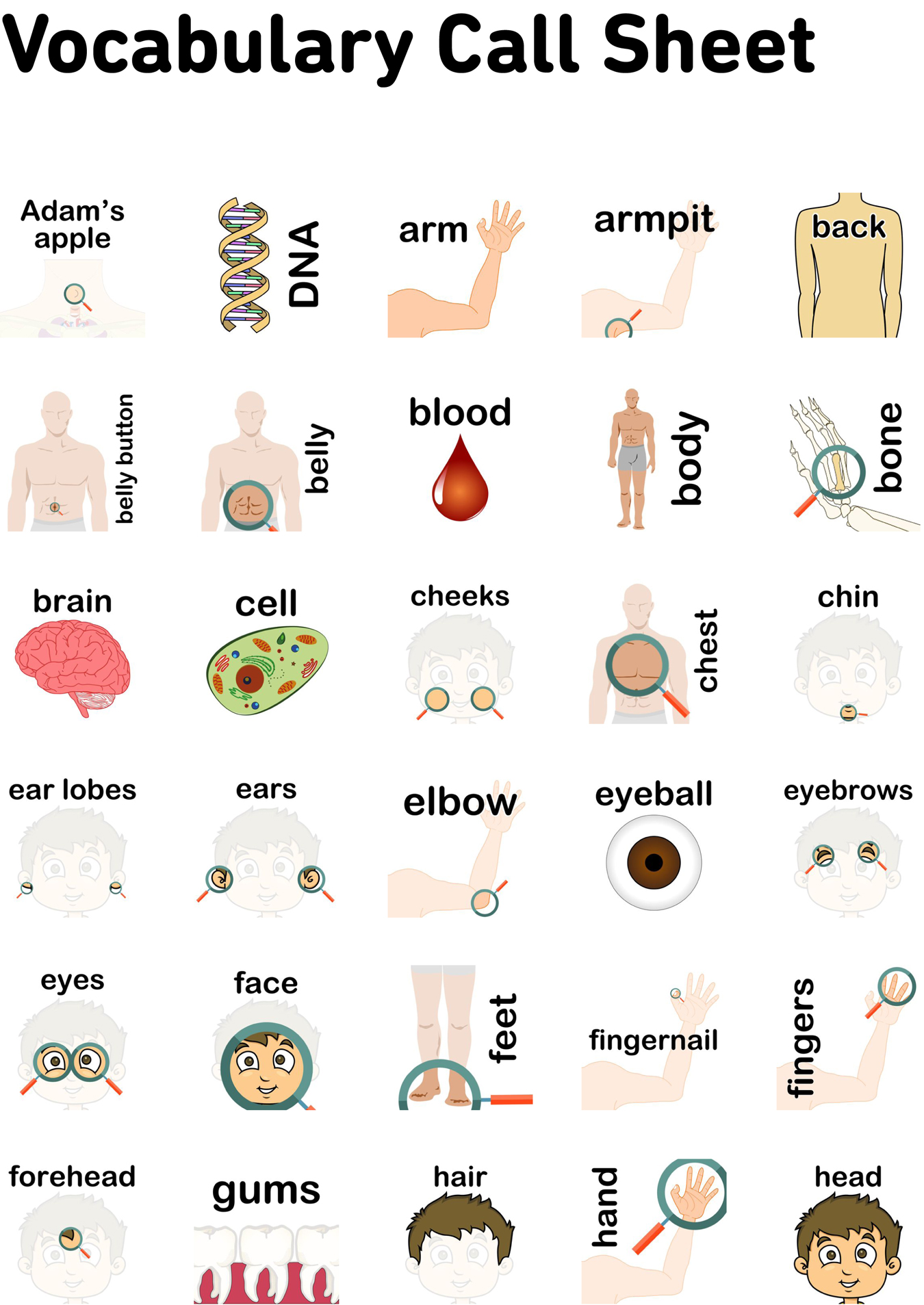 Human Body Parts Bingo 5x5 (100 pages + call sheet) | Made By Teachers