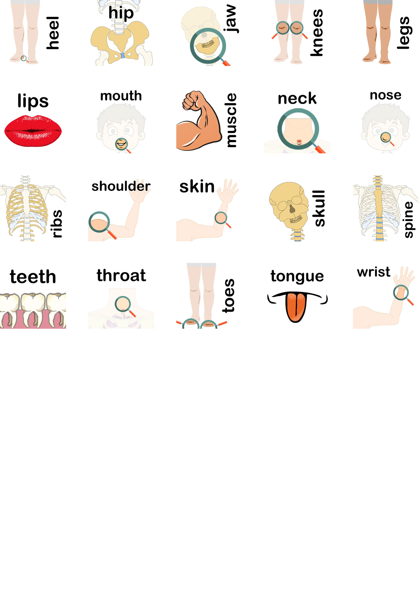 Human Body Parts Bingo 5x5 (100 pages + call sheet) | Made By Teachers