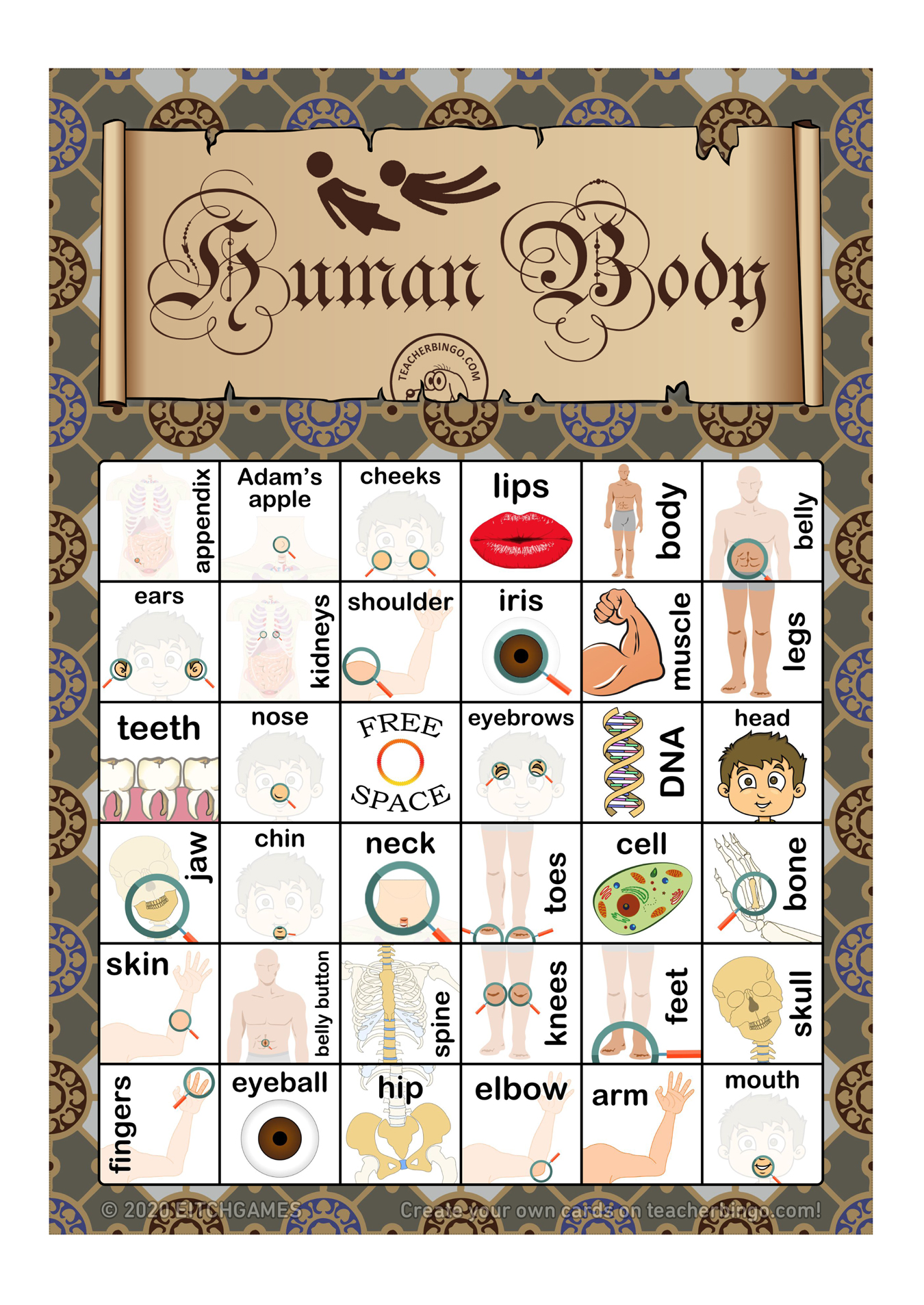 Human Body Parts Bingo 6x6 (100 pages + call sheet) | Made By Teachers