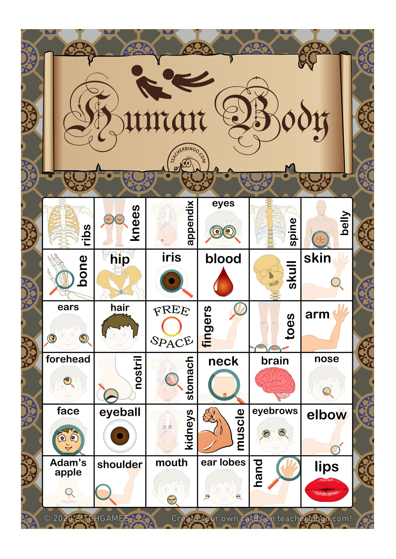 Human Body Parts Bingo 6x6 (100 pages + call sheet) | Made By Teachers