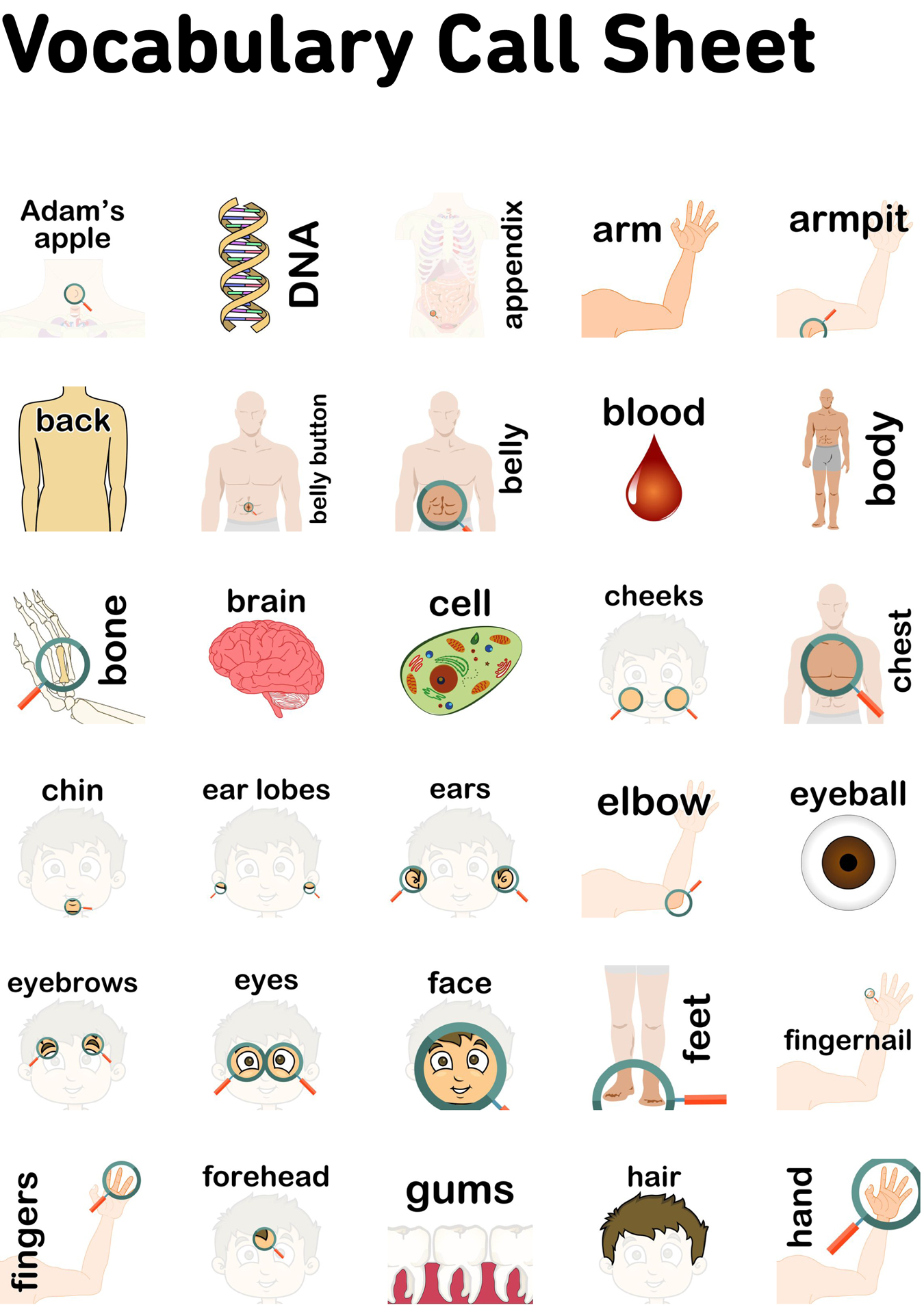 Human Body Parts Bingo 6x6 (100 pages + call sheet) | Made By Teachers